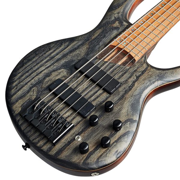 Cort B5 Element OPTB 5-String Electric Bass Guitar (Open Pore Trans ...