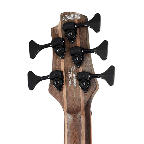 Cort B5 Element OPTB 5-String Electric Bass Guitar (Open Pore Trans ...